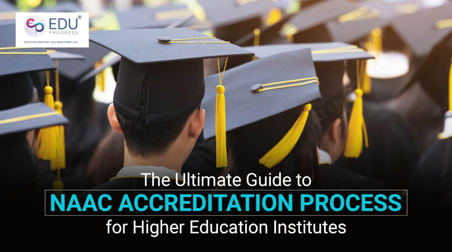 NAAC Accreditation Consultant: Guide for Higher Education